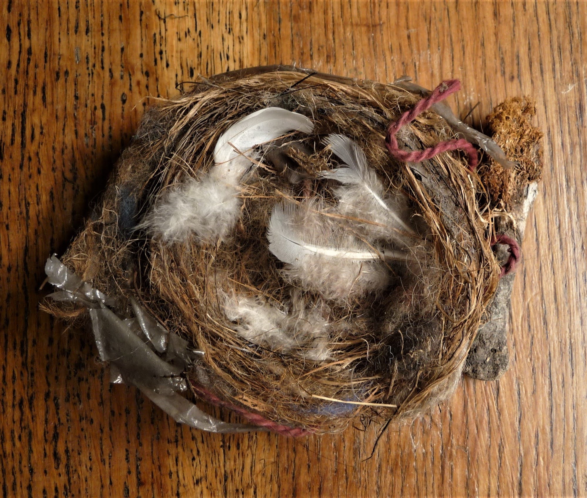 Other Projects – Frances Earnshaw